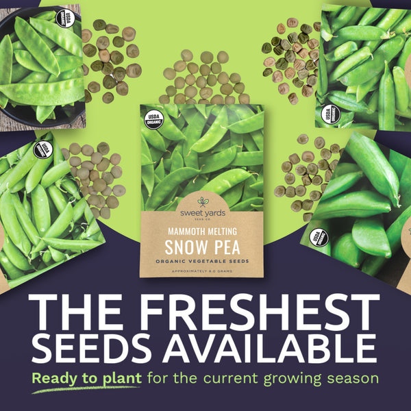 Organic Pea Variety Pack - 5 Packets – Sweet Yards