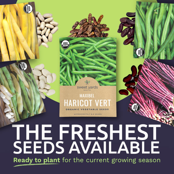 Organic Bean Variety Pack - 5 Packets – Sweet Yards