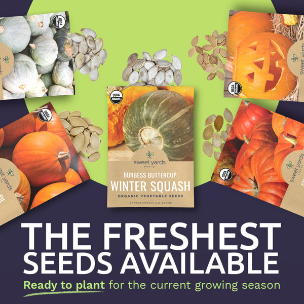 Organic Pumpkin Variety Pack - 5 Packets – Sweet Yards