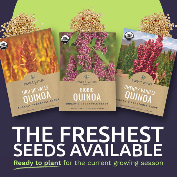 Organic Quinoa Variety Pack - 3 Packets – Sweet Yards