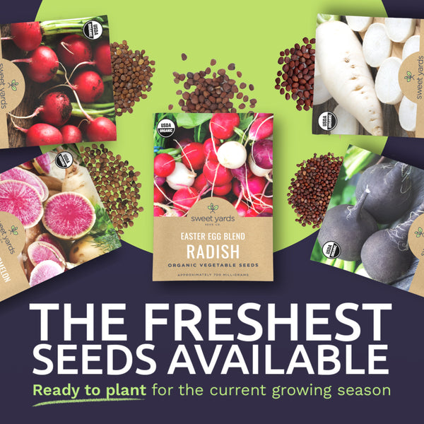 Organic Radish Variety Pack - 6 Packets – Sweet Yards