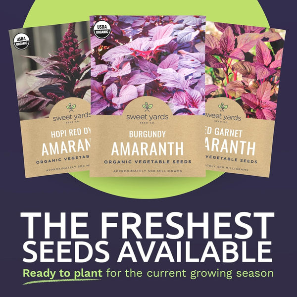 Organic Amaranth Seeds Variety Pack - 3 Individual Packs – Sweet Yards