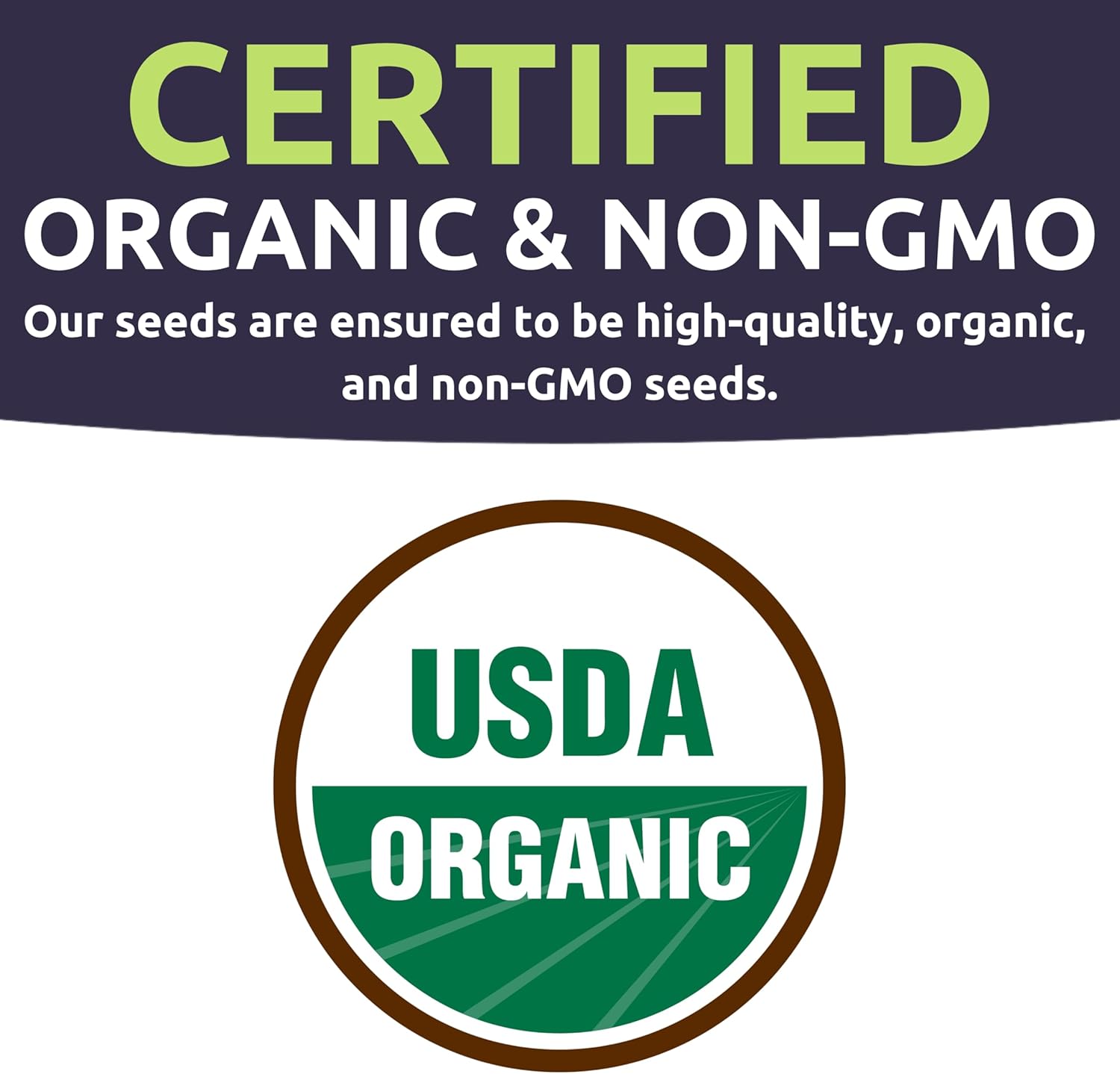 Organic Onion Seeds Variety Pack - 6 Individual Packs – Sweet Yards