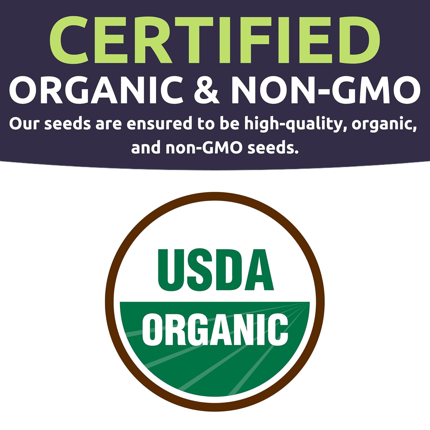 Organic Herbal Tea Seeds Variety Pack - 5 Individual Packs – Sweet Yards