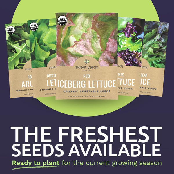Organic Lettuce & Greens Seeds Variety Pack - 10 Individual Packs ...