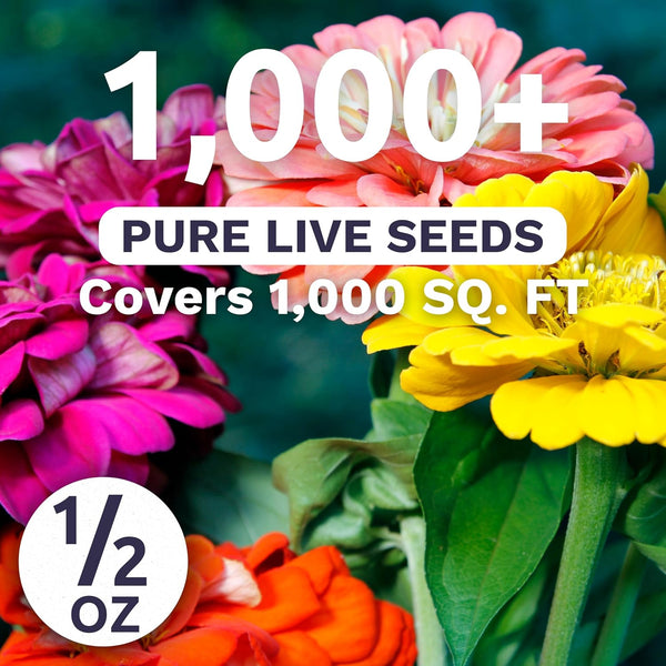 Zinnia State Fair Mix – Sweet Yards
