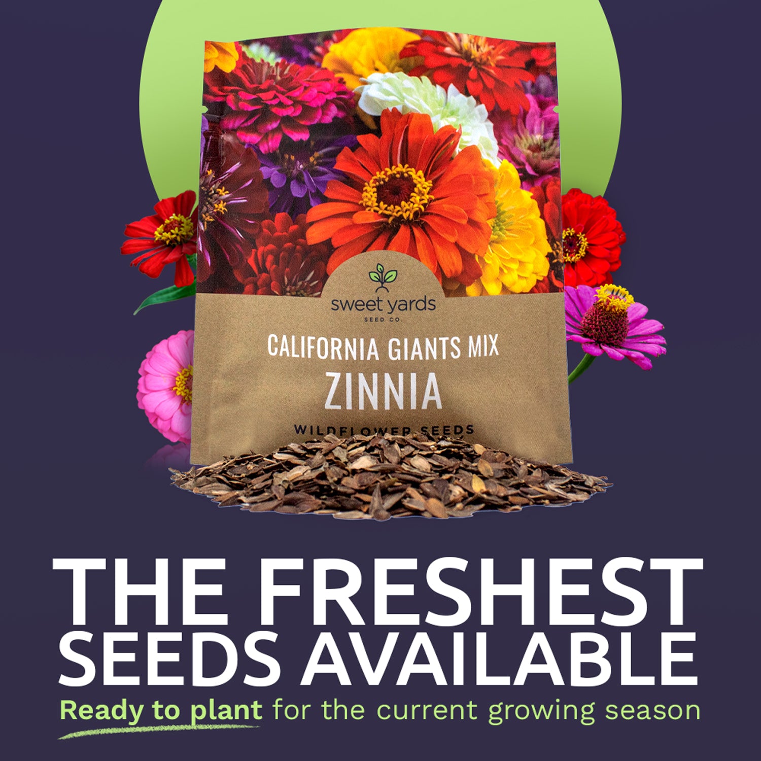Zinnia California Giants Mix – Sweet Yards