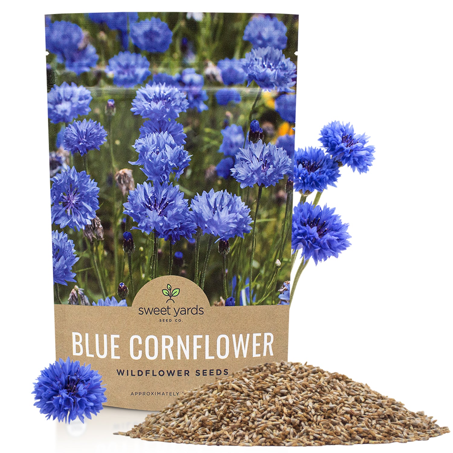Blue Cornflower Seeds – Sweet Yards