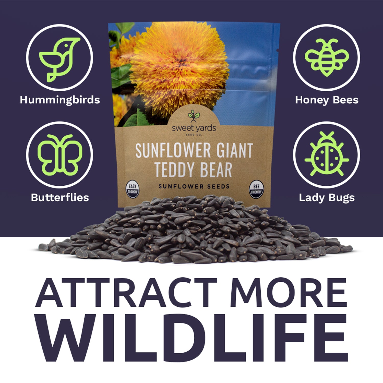 Giant Teddy Bear Sunflower Seeds – Sweet Yards