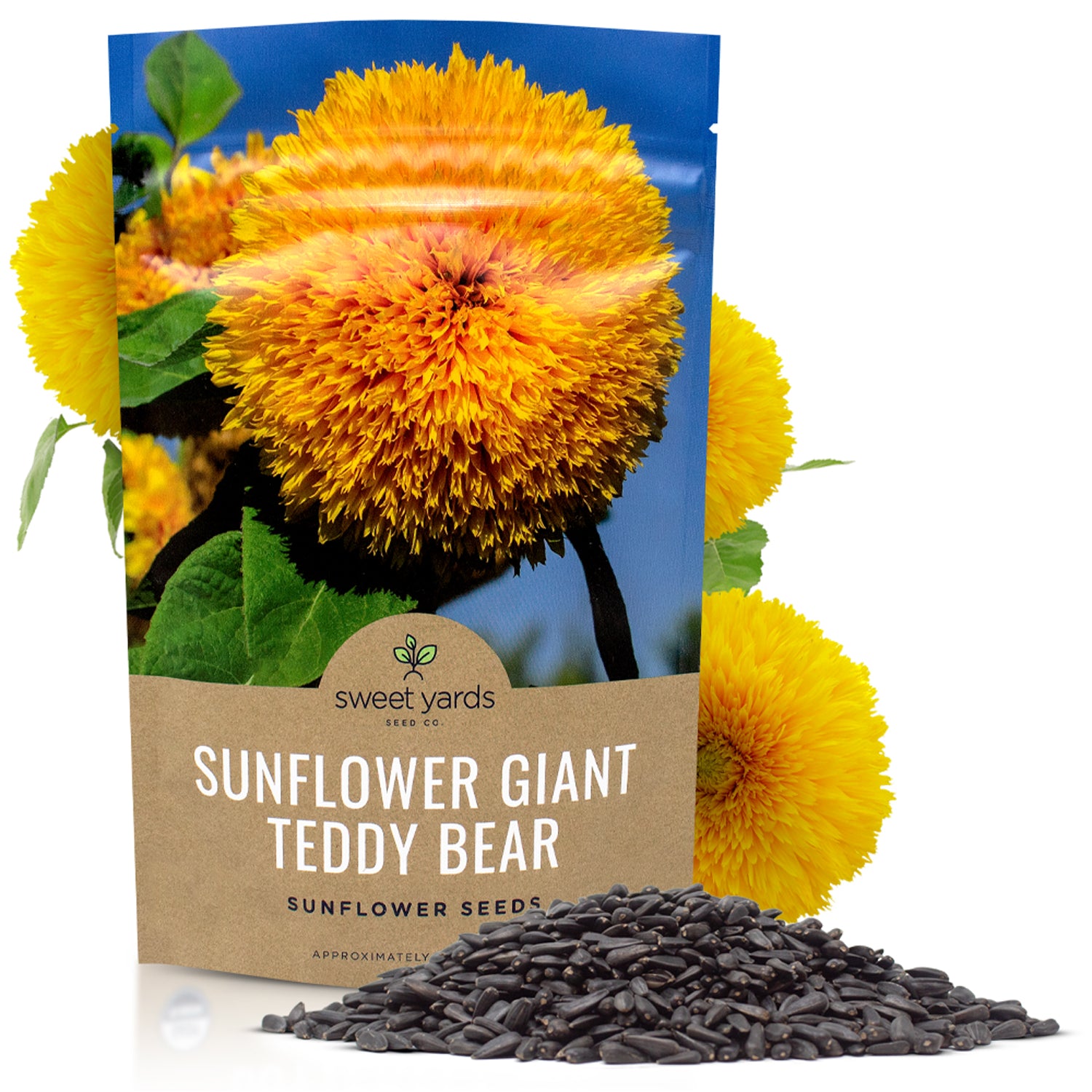 Giant Teddy Bear Sunflower Seeds – Sweet Yards