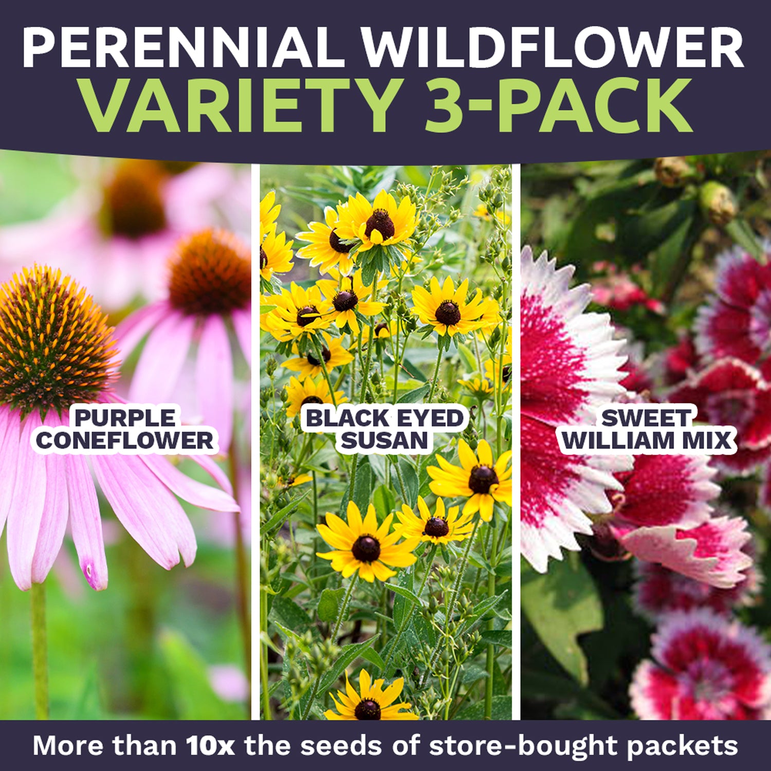 Bulk Perennial Wildflower Seeds Variety Pack - 3 Packets – Sweet Yards